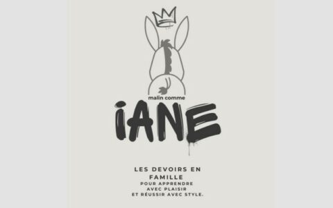 IANE, le nouveau coup de pouce numérique - Collège Sainte Marie